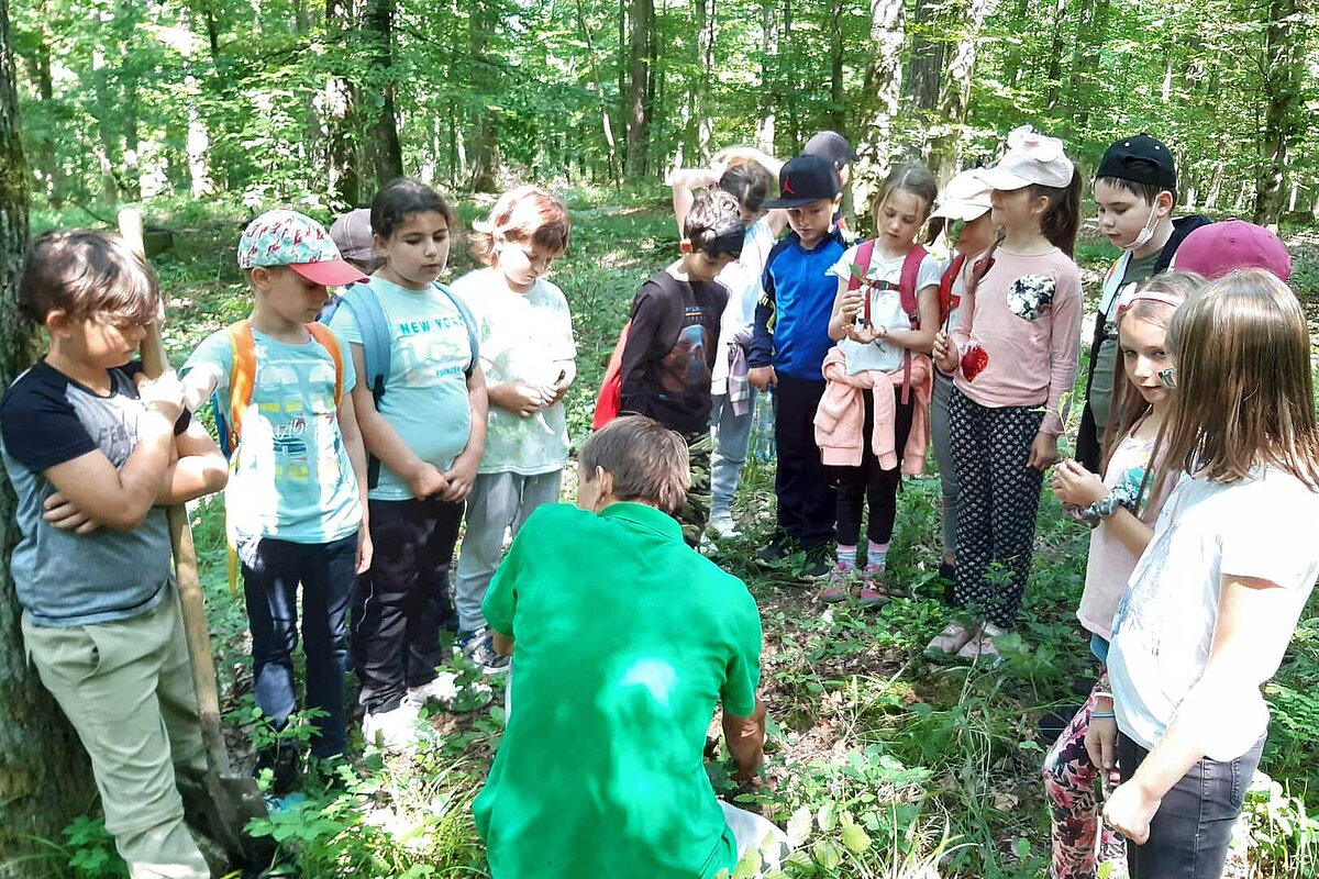 Klasse 2 a und b auf Entdeckungstour im Eppinger Wald | Grundschule im Rot